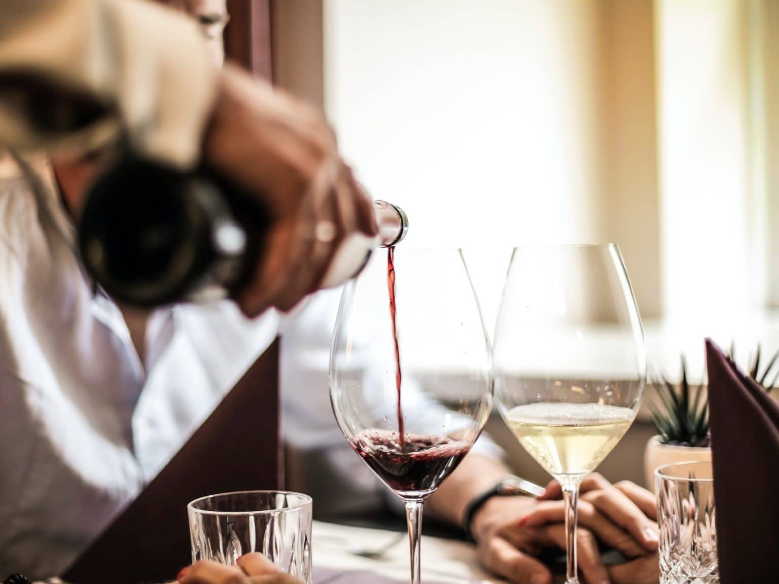 Best Mexican Wine According to Sommeliers and Experts - Food+Wine Tourism