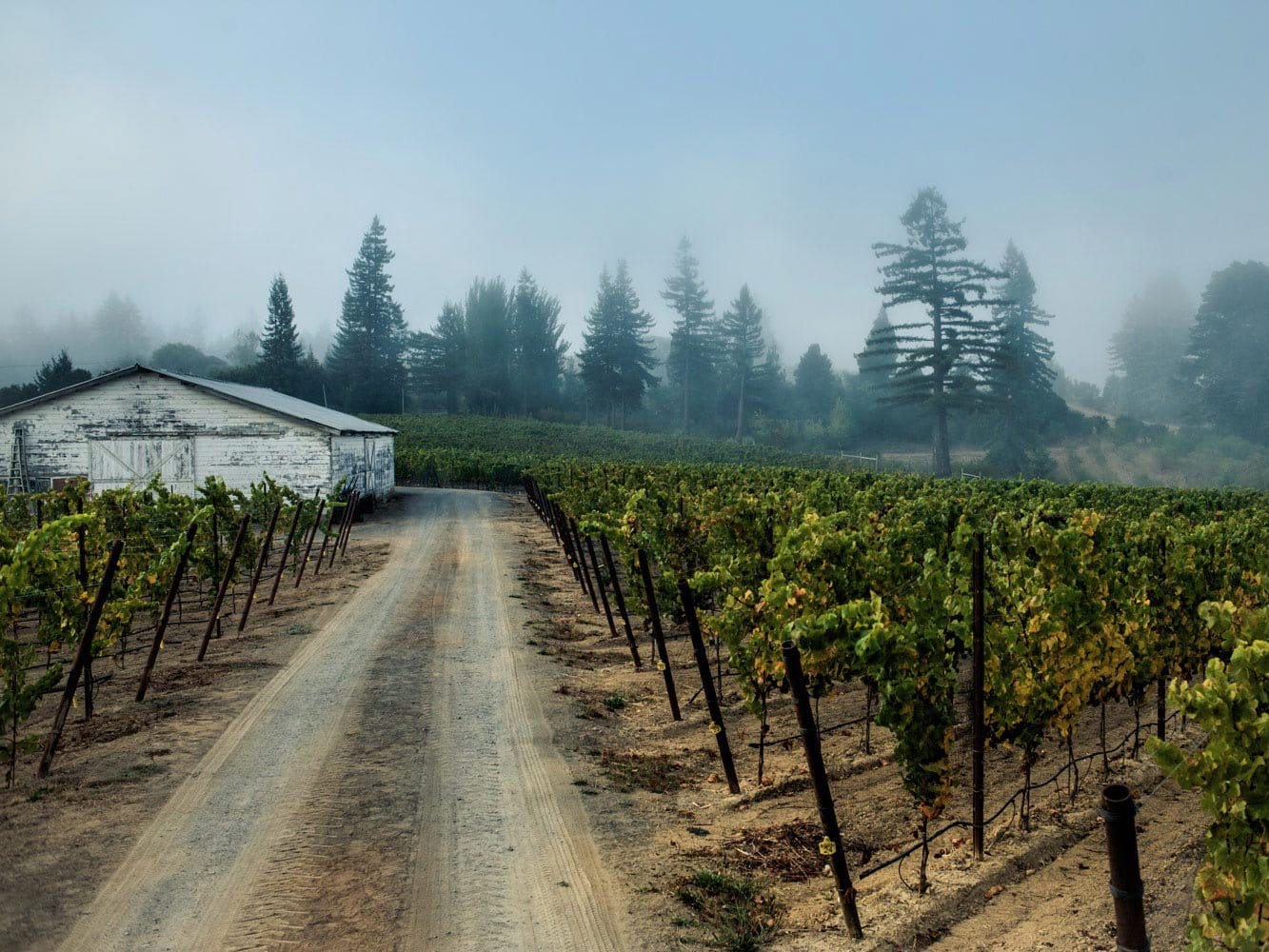 Best Wineries in Russian River Valley - 2022