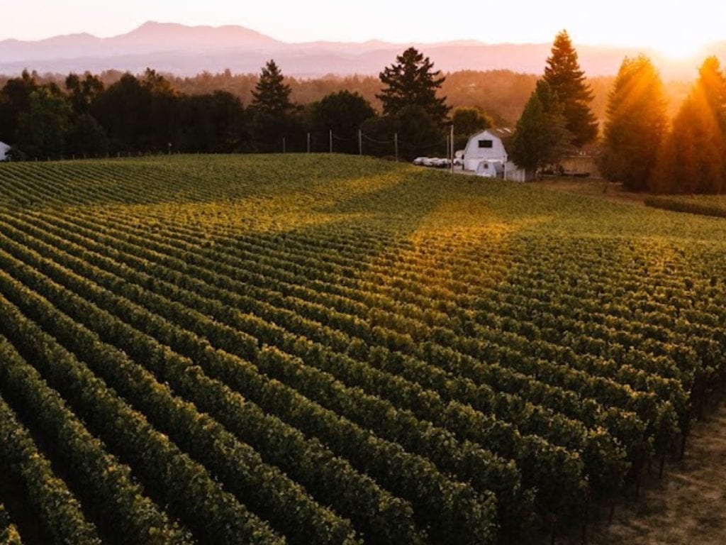 Best Wineries in Russian River Valley - 2022