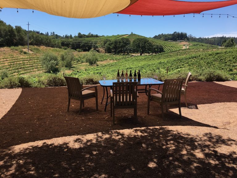 Best Wineries in Russian River Valley - 2022